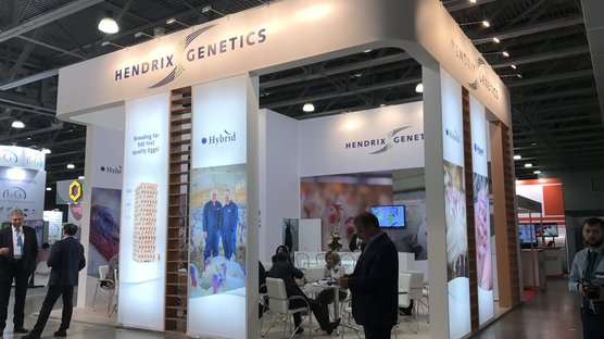 News - Hendrix Genetics Corporate
