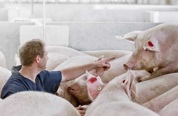 Hendrix Genetics' philosophy on animal breeding and genetics - Hendrix ...