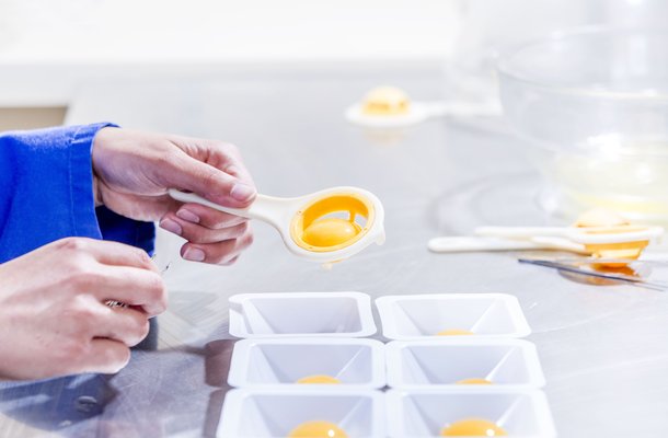 Hendrix Genetics Corporate - Laying hen breeding